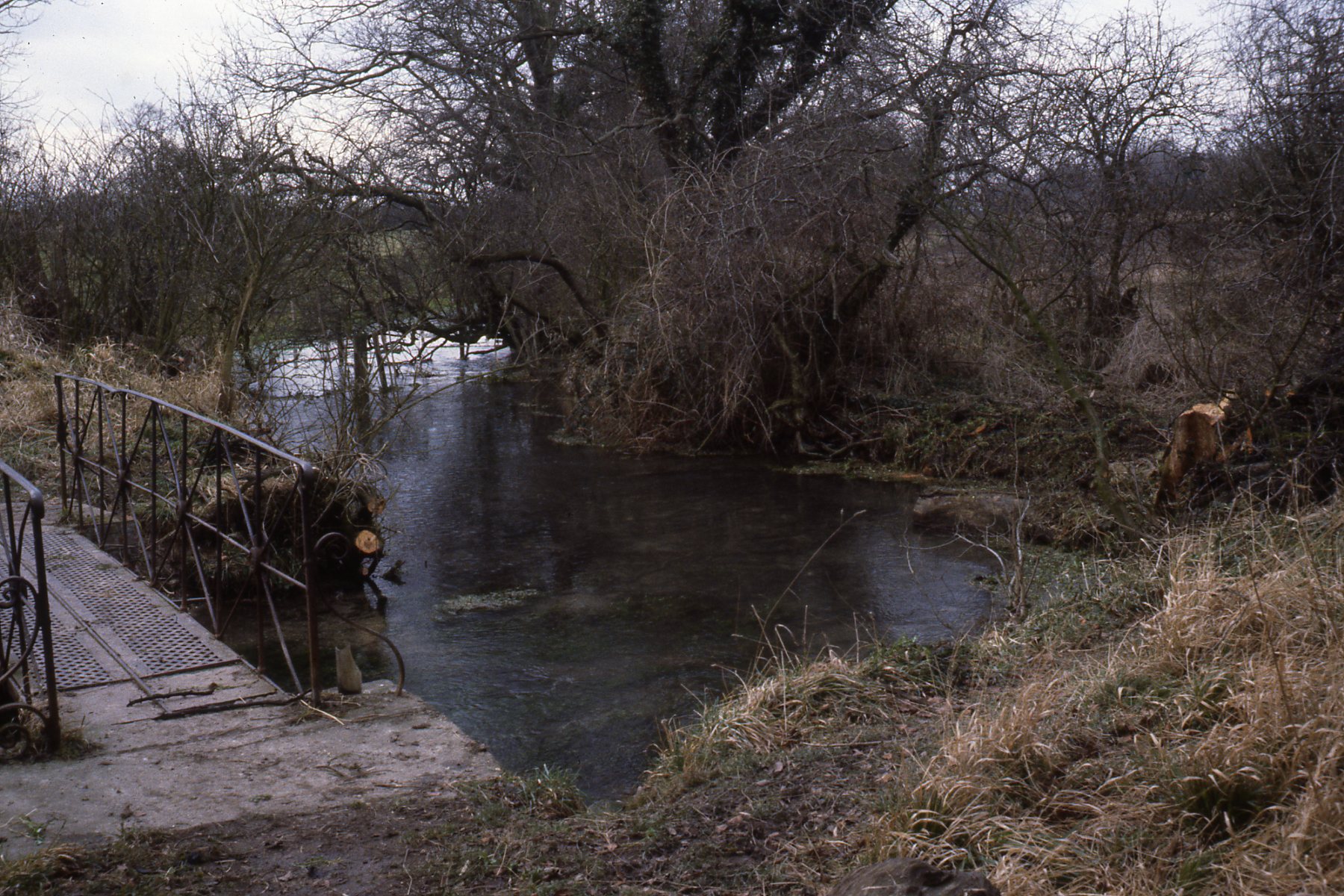 Clearing the upper Ivel in the early 1980s – The RevIvel Association