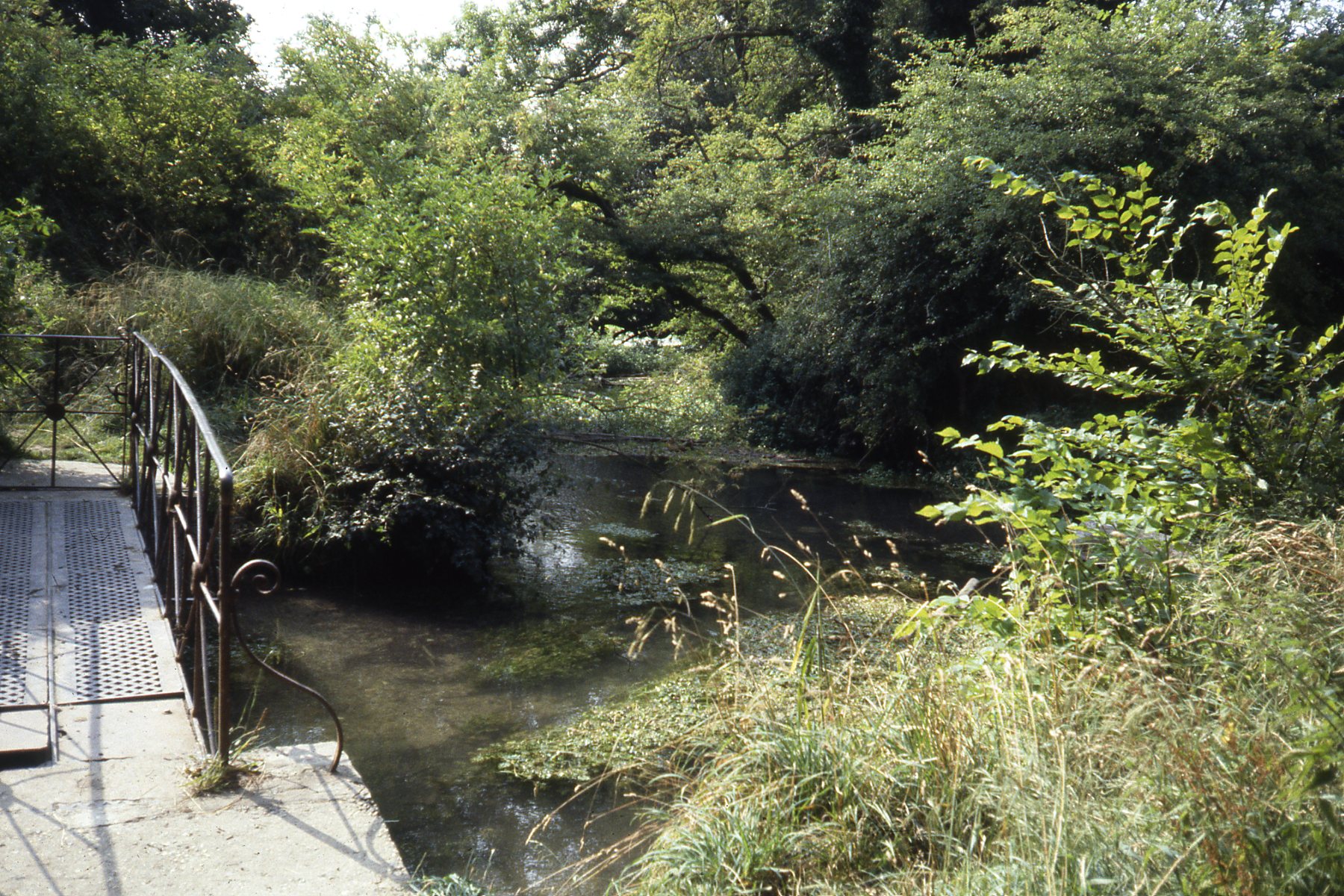 Clearing the upper Ivel in the early 1980s – The RevIvel Association