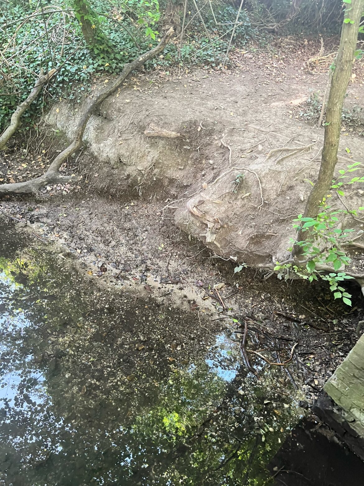 River level low at the Iron Bridge at Radwell Meadows – The RevIvel ...